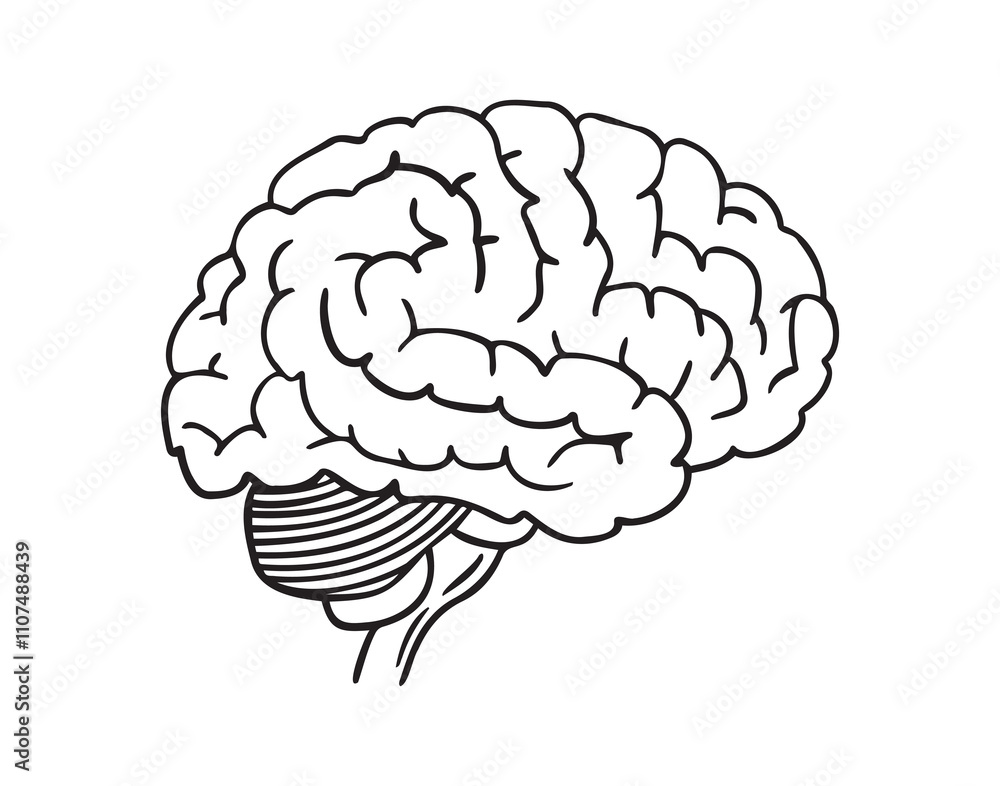 Vector de Stock human brain doodle hand drawn icon. Outline drawing ...