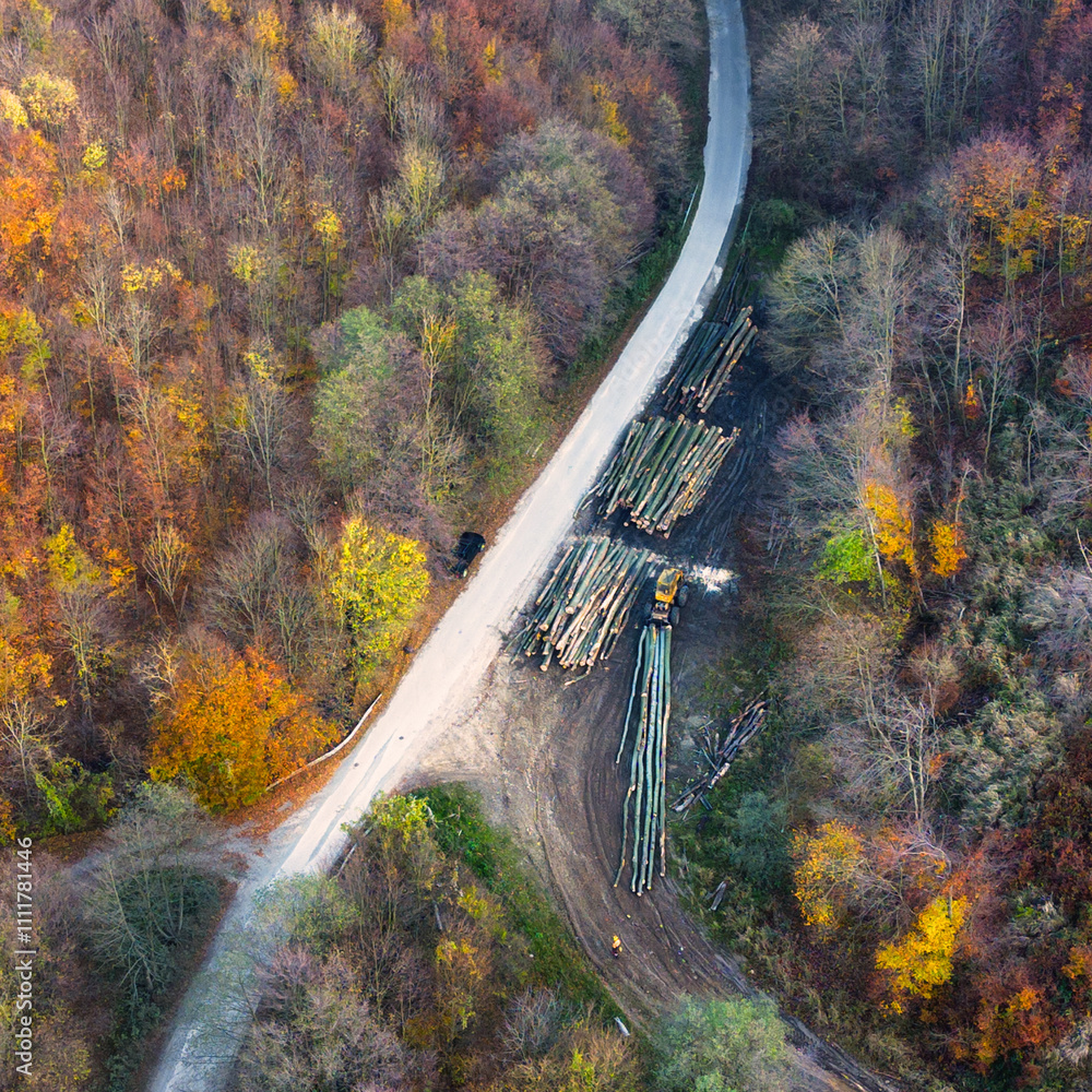 Aerial view of a logging yard in the Amazon rainforest: The yard is ...