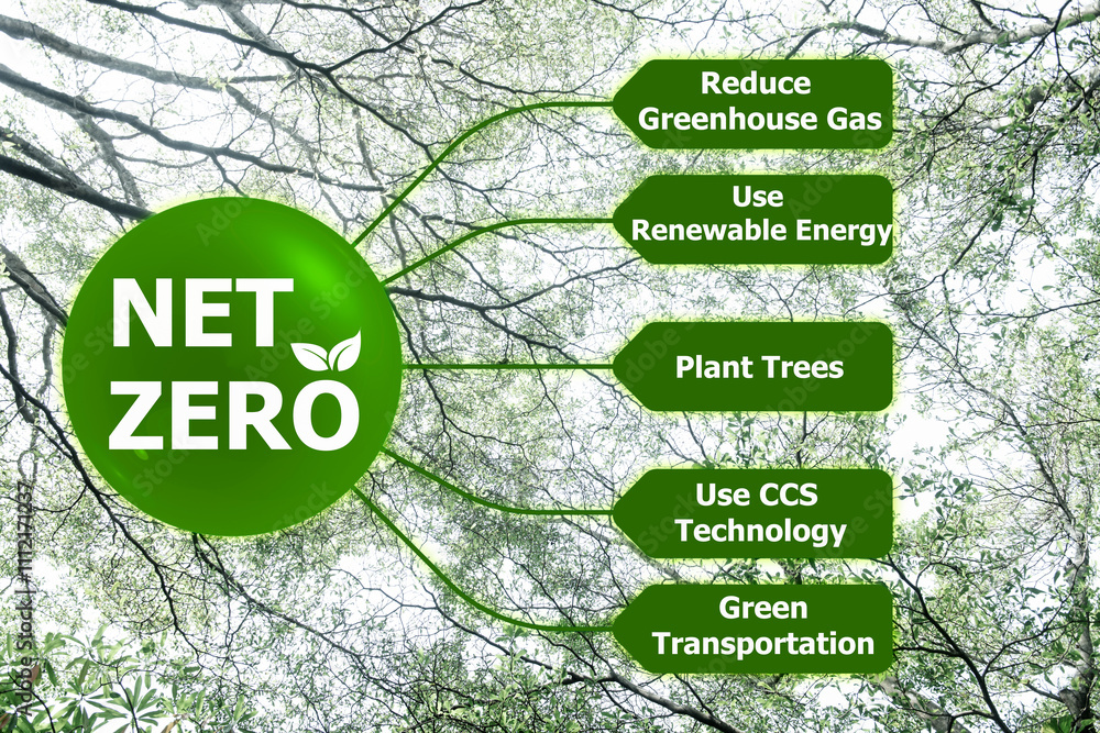 Net zero text goals we include planting trees and other things and ...