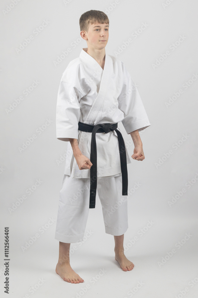 Fifteen year old male teenage karate black belt standing in Ready ...