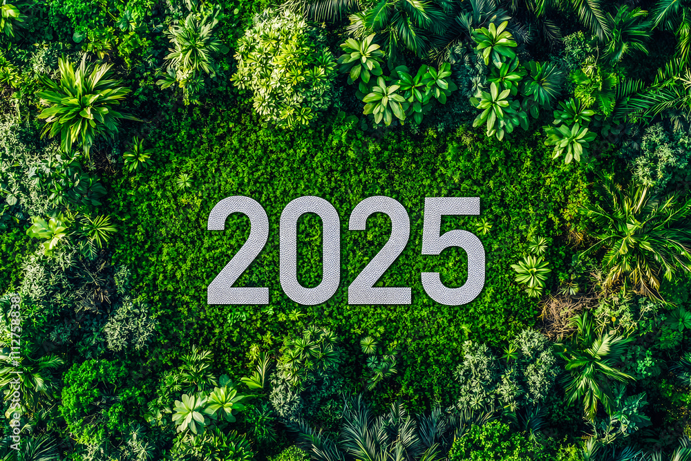 2025 New Year Concept: Sustainable Development Goals, Net Zero, Carbon ...