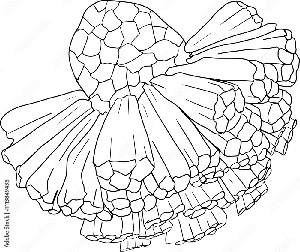 Line Pandan fruit, Sargassum. Hand drawn black and white tropical plant ...