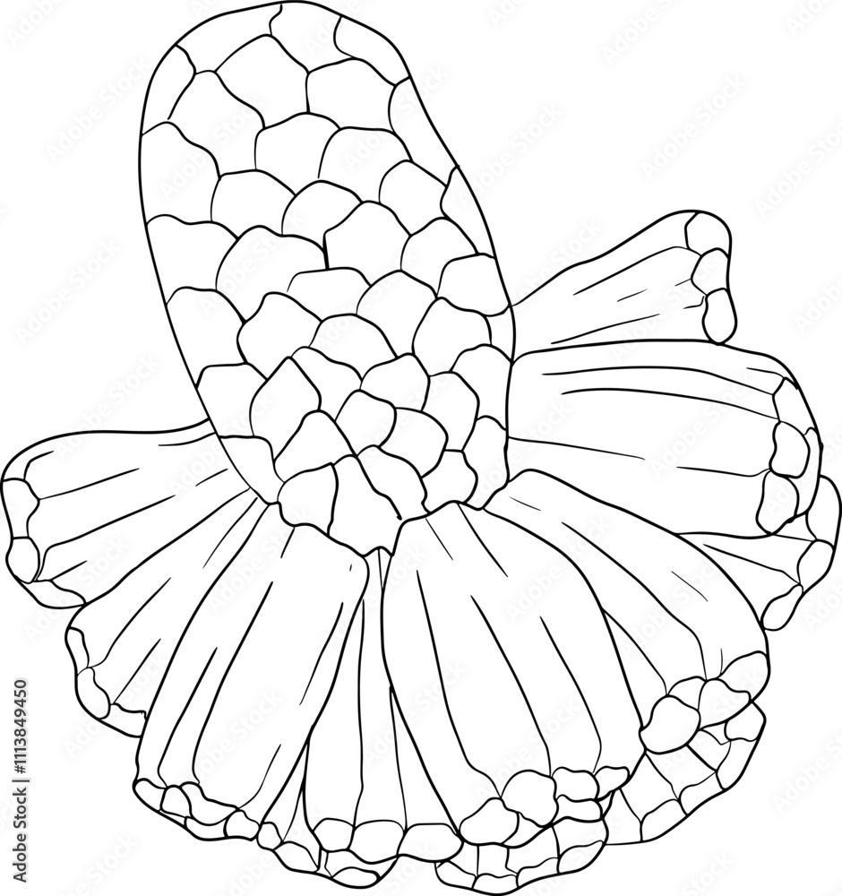 Line Pandan fruit, Sargassum. Hand drawn black and white tropical plant ...