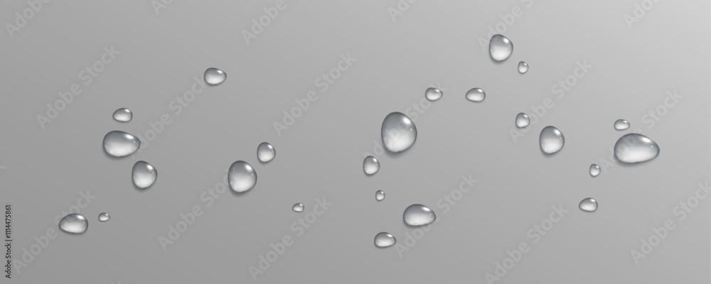 Realistic vector water drops png on a transparent light background. Water condensation on the ...