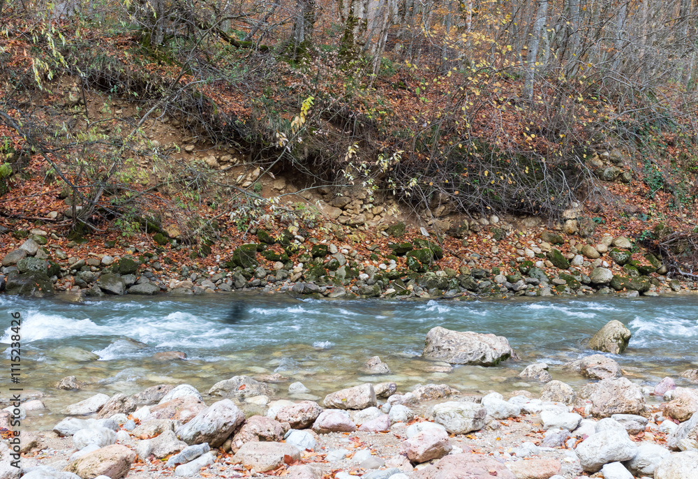 autumn, river, nature park, cloudy day, walk along the riverbed with an ...