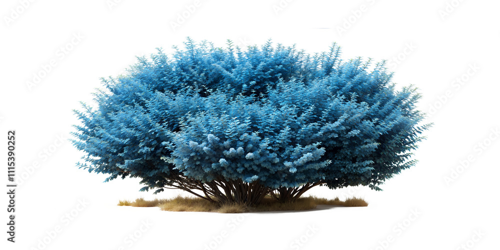 blue bush isolated. Stock Photo | Adobe Stock