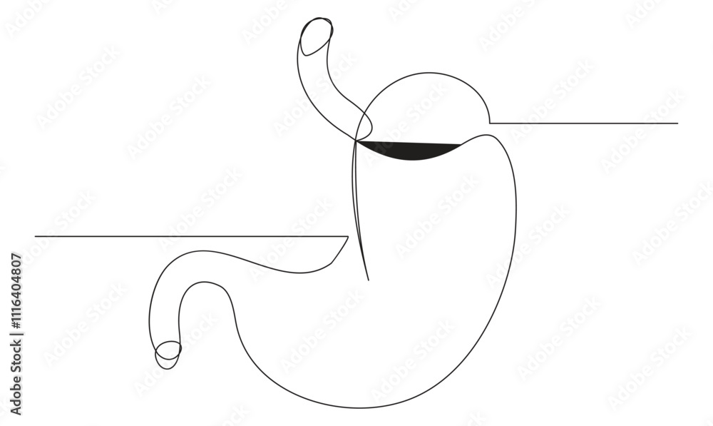 Stomach one continuous line drawing anatomy concept on white background ...