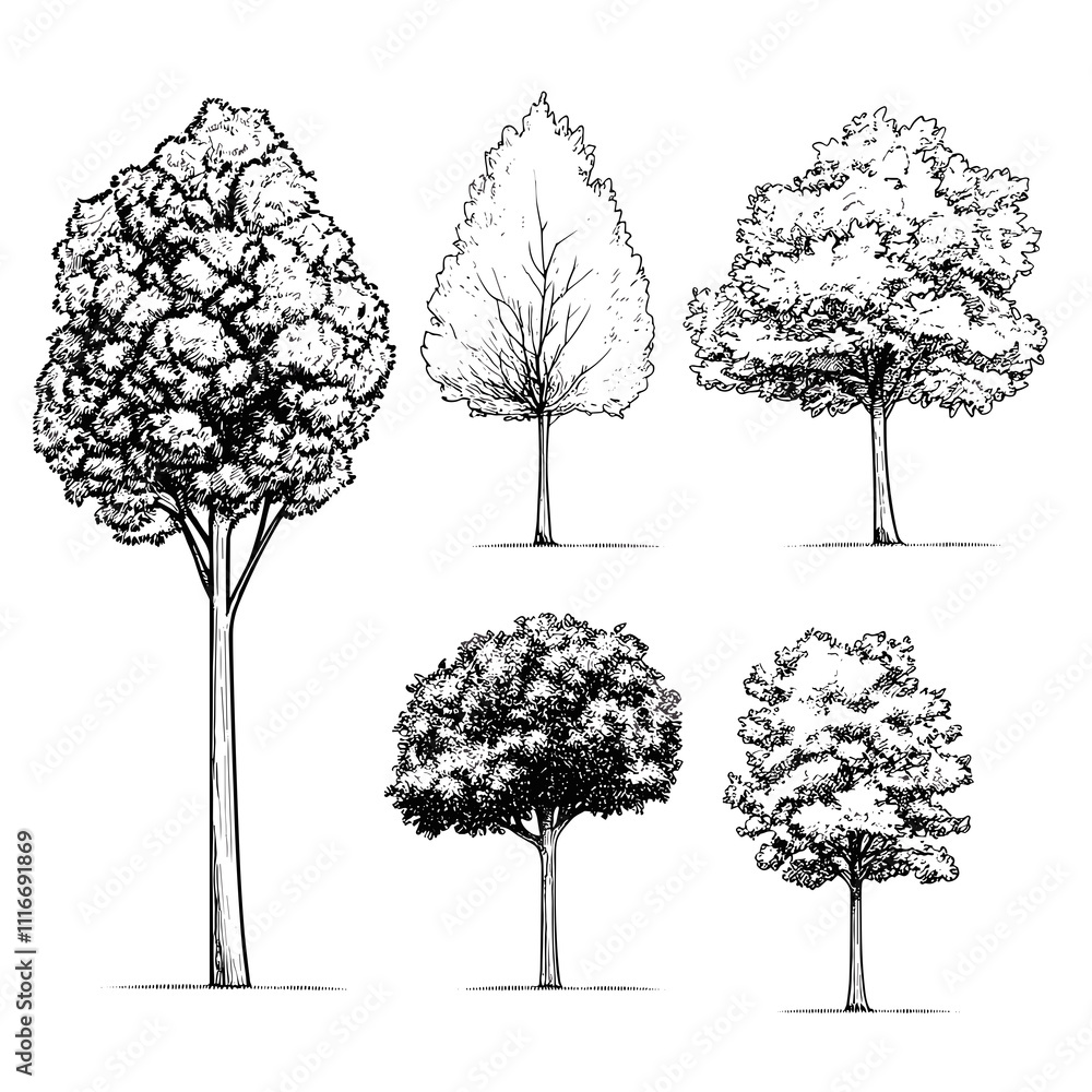 Architectural Drawings, Minimal style cad tree line drawing, Side view, set of graphics trees ...