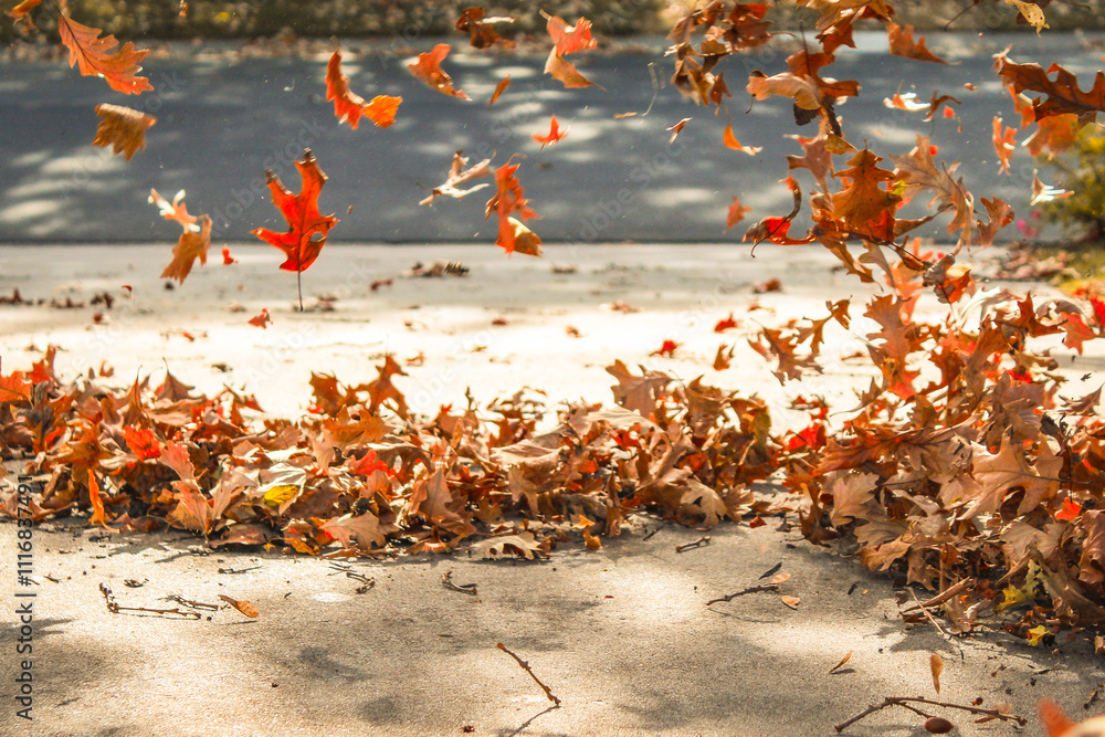 autumn leaves blowing up in the air on a windy day fall background with ...
