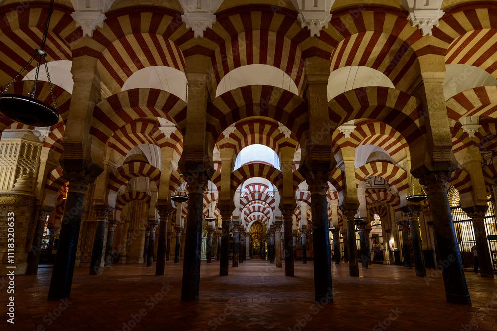 Part of Mosque with naves perpendicular to the qibla wall arranged into ...