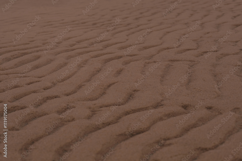 Stock-Foto „Texture of coastal wet sea sand in trendy 2025 new colors ...