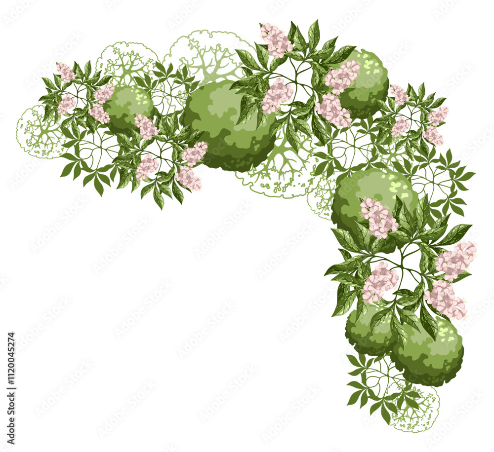 Group of trees for architectural floor plans. Chestnuts . Top view ...