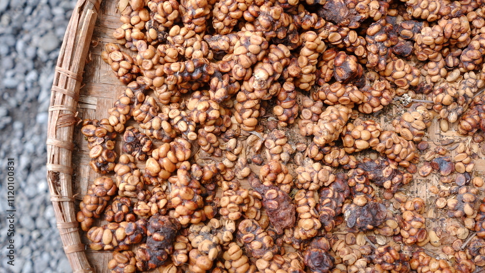Coffee beans that are being dried in the sun after being washed from ...