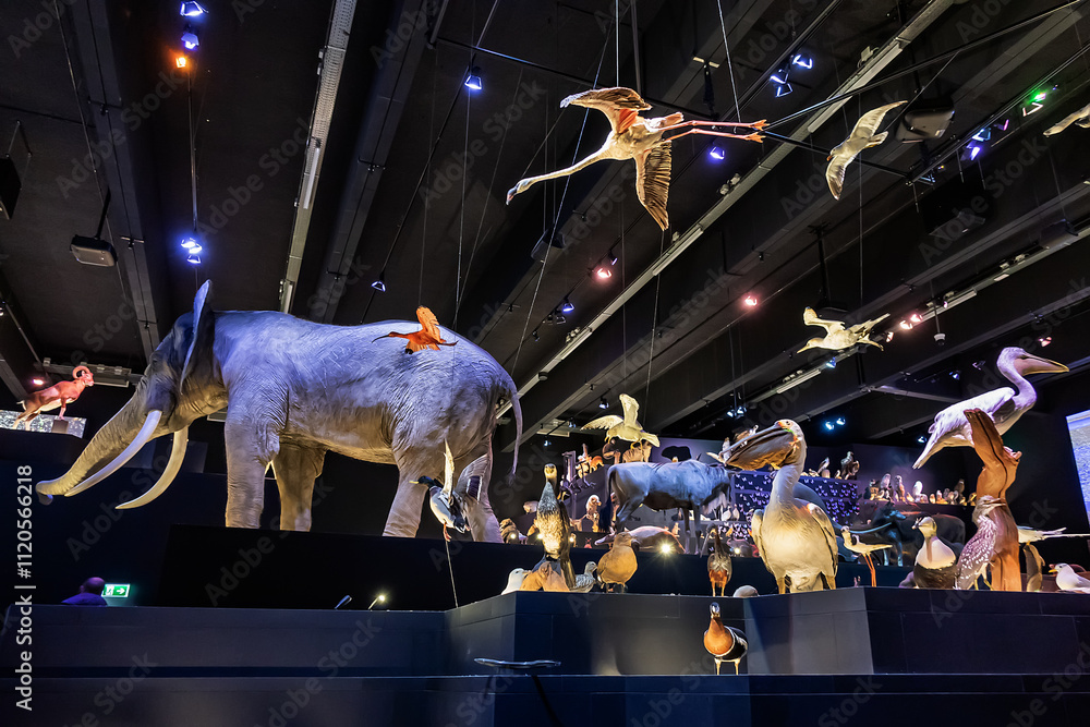 Leiden Naturalis Biodiversity Center: Life gallery (Exhibition with ...