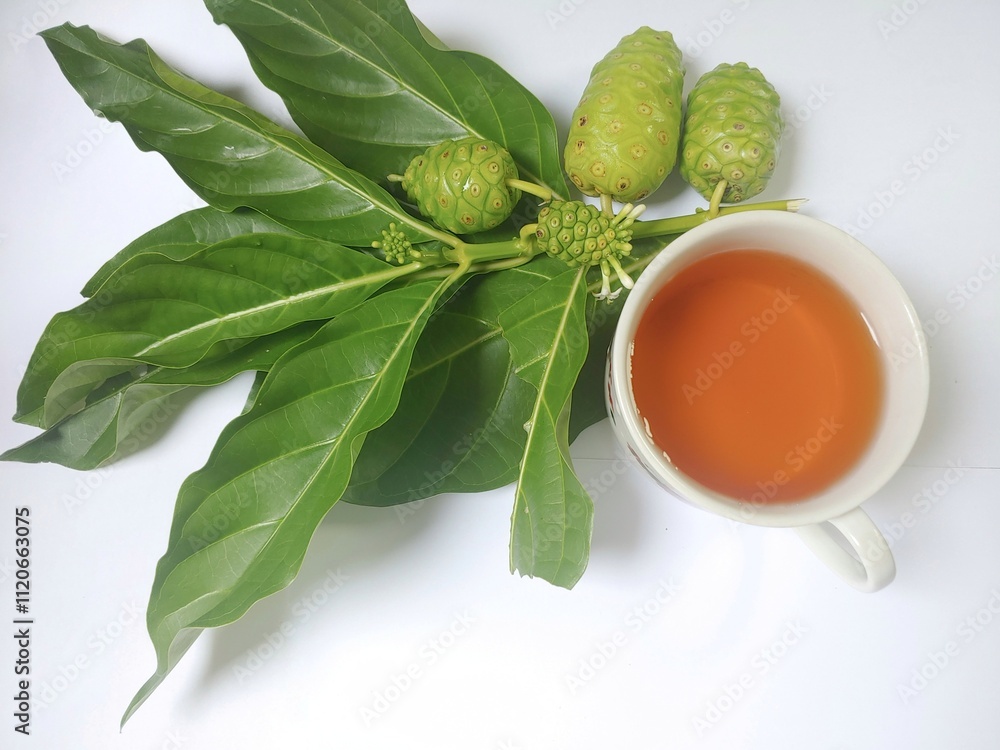 Noni fruit or Morinda citrifolia (Indian mulberry) with green leaves on ...
