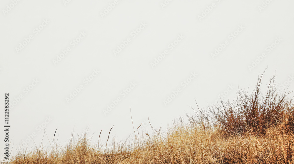 Dry grasses and sparse shrubs against a neutral sky create a serene ...