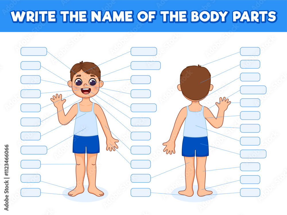 Write the name of the body parts. Boy anatomy. Body parts without names ...