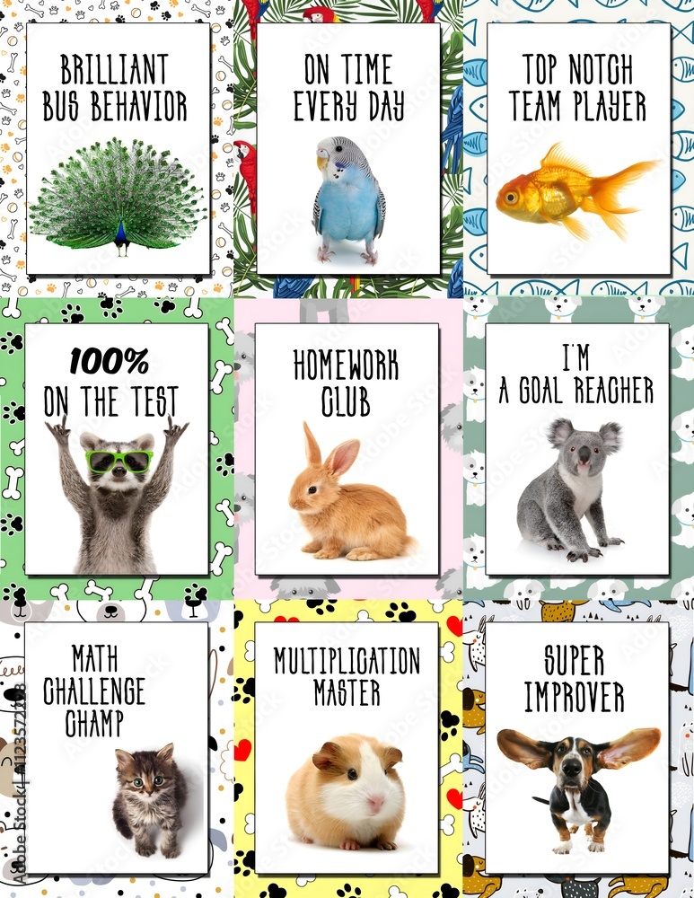 Brag Tags Animals: Fun, colorful awards to celebrate achievements and ...