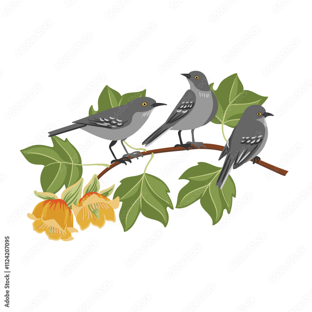 vector drawing branch of tulip tree with green leaves and flowers and ...