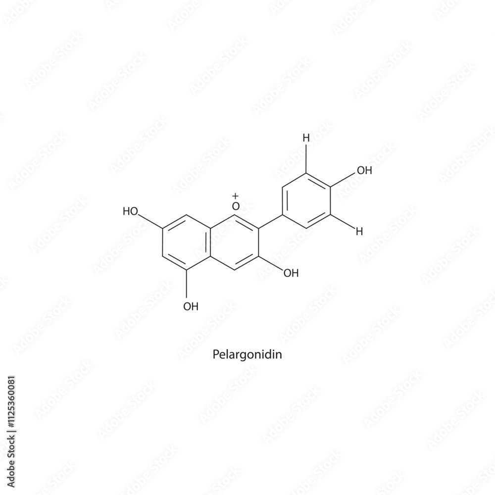 Pelargonidin skeletal structure diagram.anthocyanin compound molecule ...