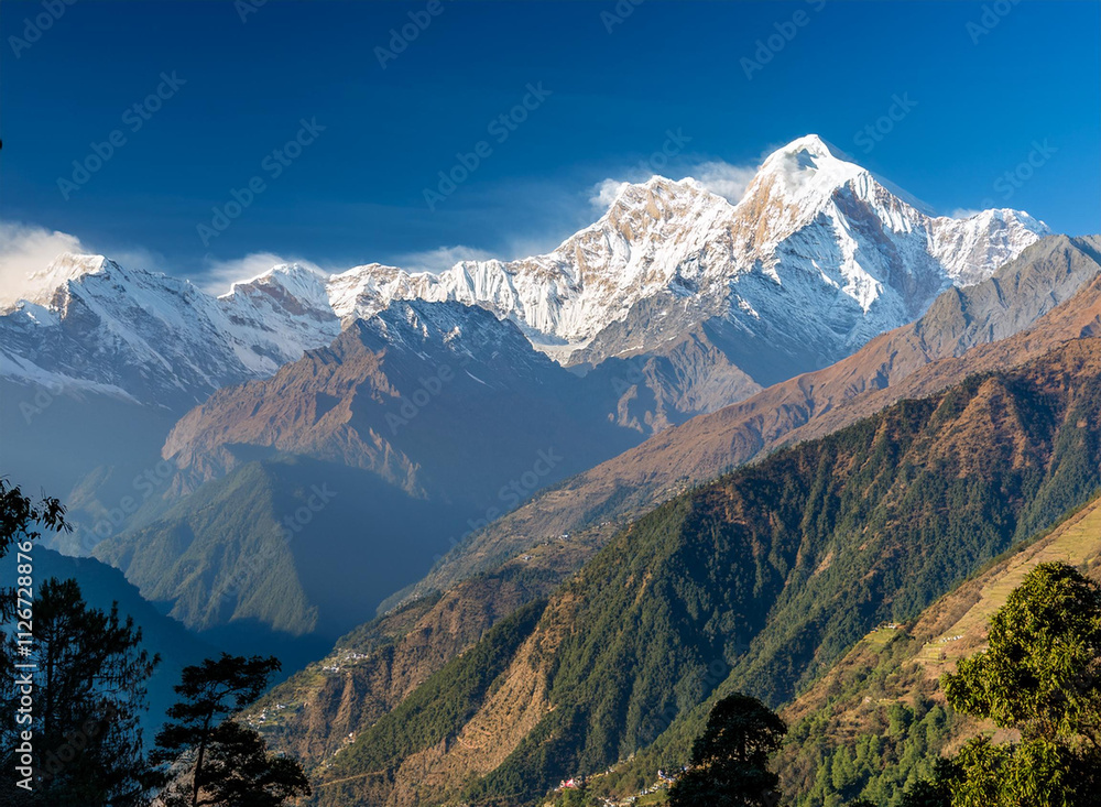 Nanda Devi National Park: A High-altitude Sanctuary of Snow Leopards ...