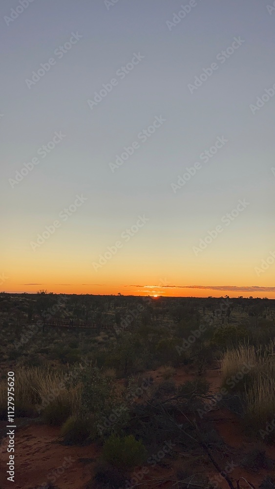 Foto de Stock Sunrise in Uluru / Ayers Rock in a land of Buffel grass ...