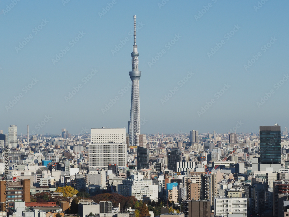 TOKYO, JAPAN - November 28, 2024: Overhead view of Tokyo from Bunkyo ...