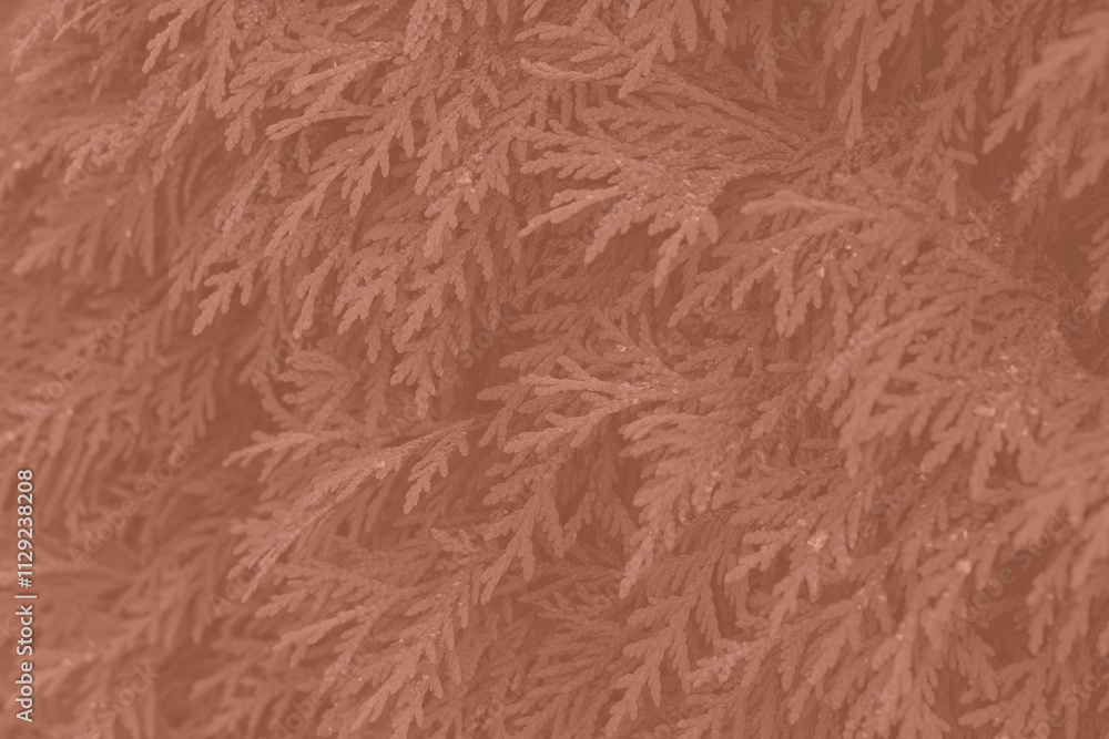 Mocha Mousse color leaf texture, nature monochrome background. Color of ...