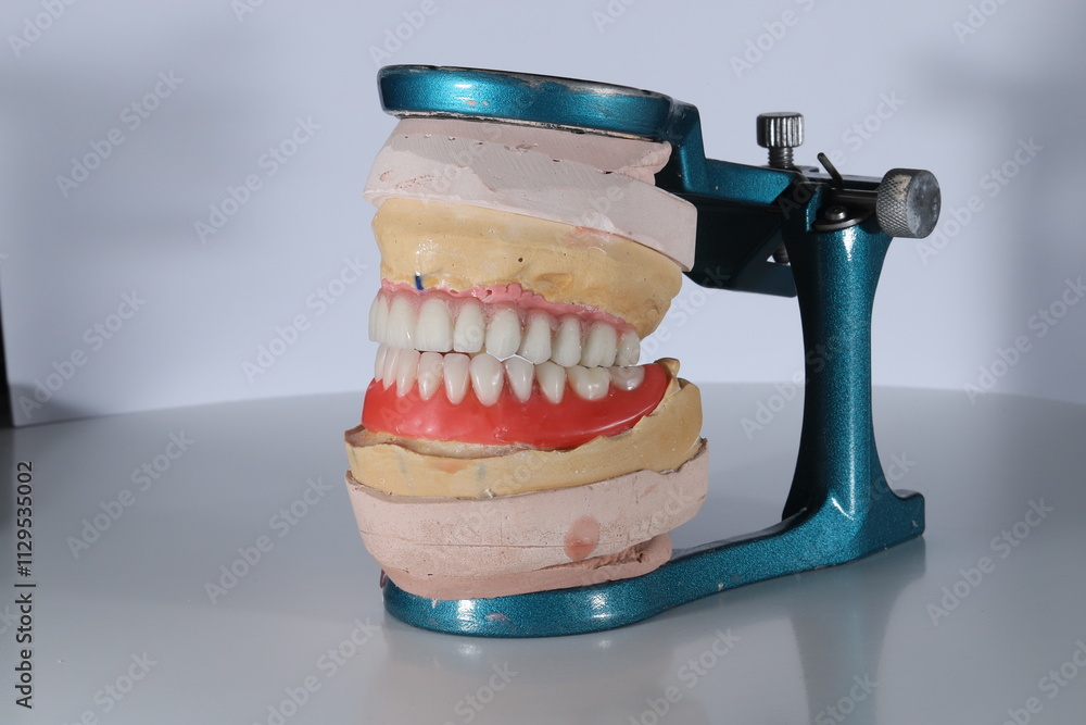 Full-arch dental prosthesis torque wrench and dental implant wrench ...