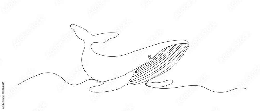 Whale one line sketch. Hand drawn doodle vector illustration isolated ...