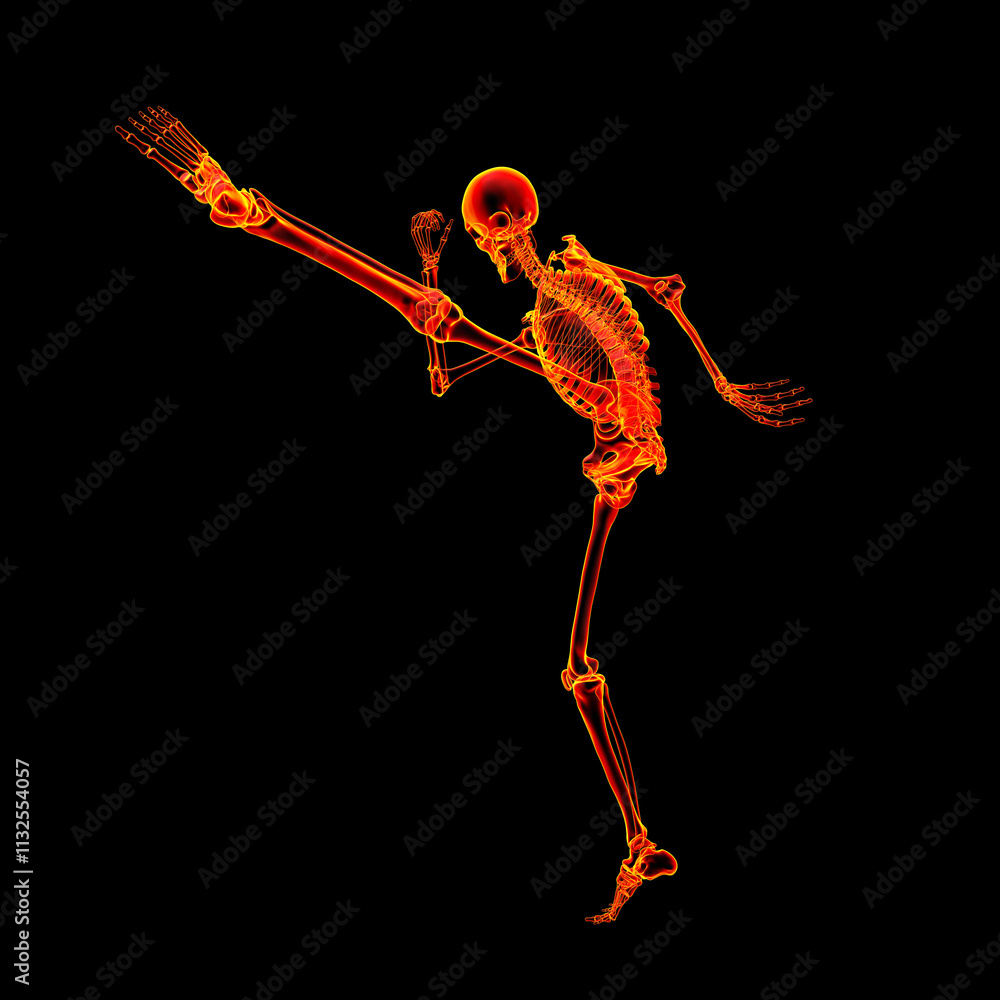 Human skeleton in a dynamic fighting pose, 3D illustration Stock ...