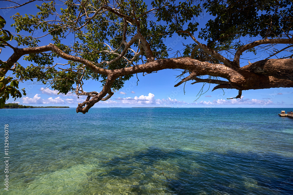 Baru Islands is a stunning natural area located on the Caribbean coast ...