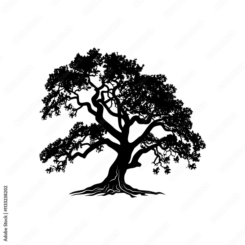 oak tree silhouette vector illustrations. black oak tree isolated on ...