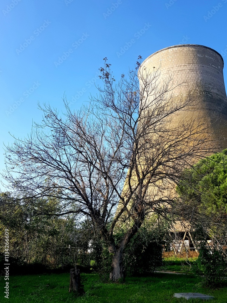 Cooling tower of a nuclear power plant with bare trees in the ...