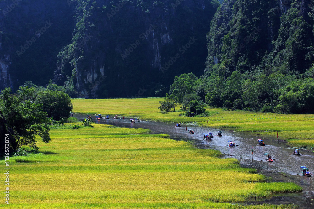 Take a scenic boat ride in Tam Coc with rice fields on both sides ...