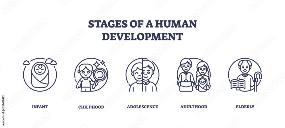 Human development stages depicted with icons of infant, child, adult ...
