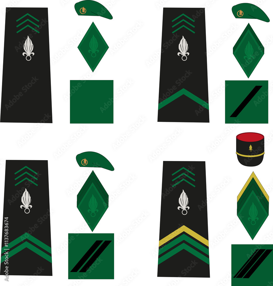 Ensemble de galon de l'armée de terre française, légion étrangère ...
