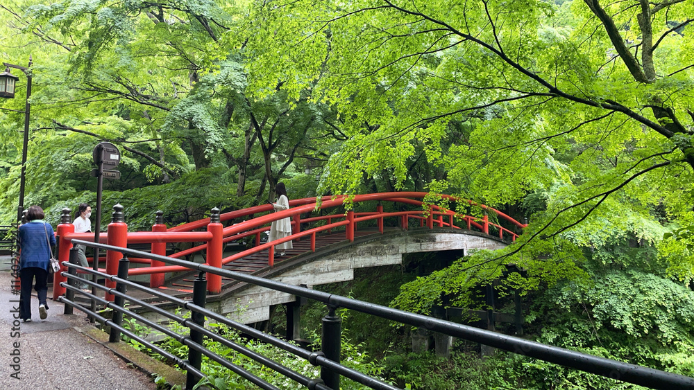 forest bridge nature path tree wood wooden park landscape water river ...