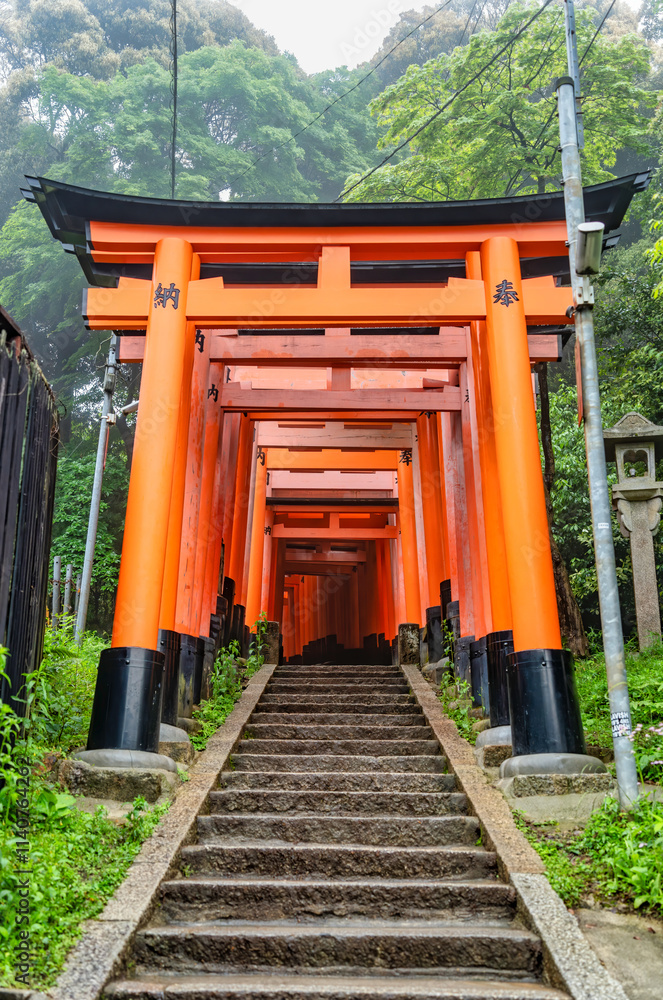 The torii gate covered walking path at Fushimi Inari Taisha temple in ...
