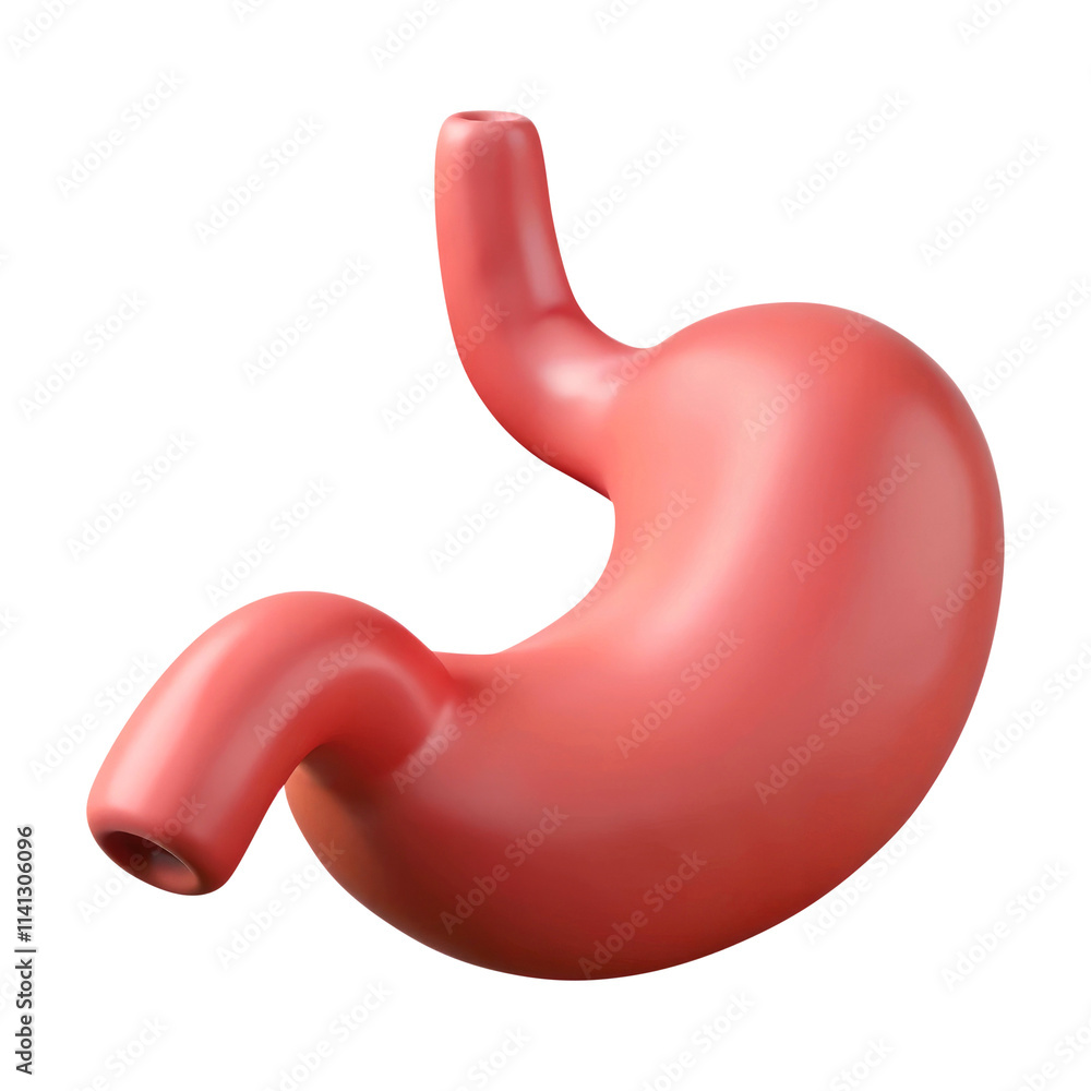 human stomach anatomy 3d render icon in cartoon plastic style minimal ...