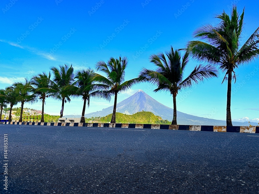Legazpi City Boulevard with a coconut tree and view of mayon volcano in ...