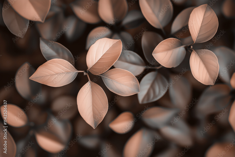 Mocha mousse, brown abstract leaves design, top view, soft color ...