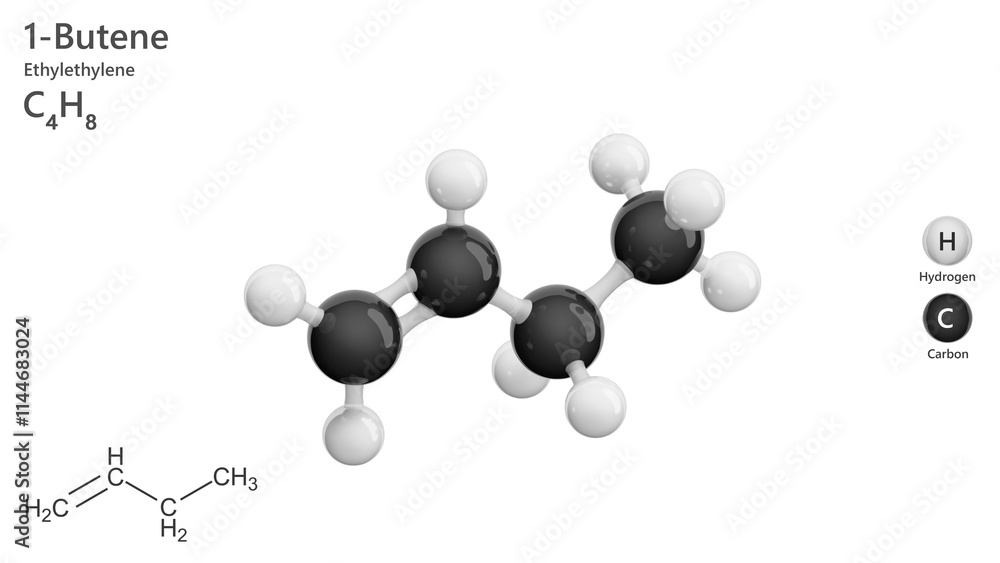 Molecule 1 Butene Alkene Gas Molecular Structure Formula C4h8 Chemical Model Ball And