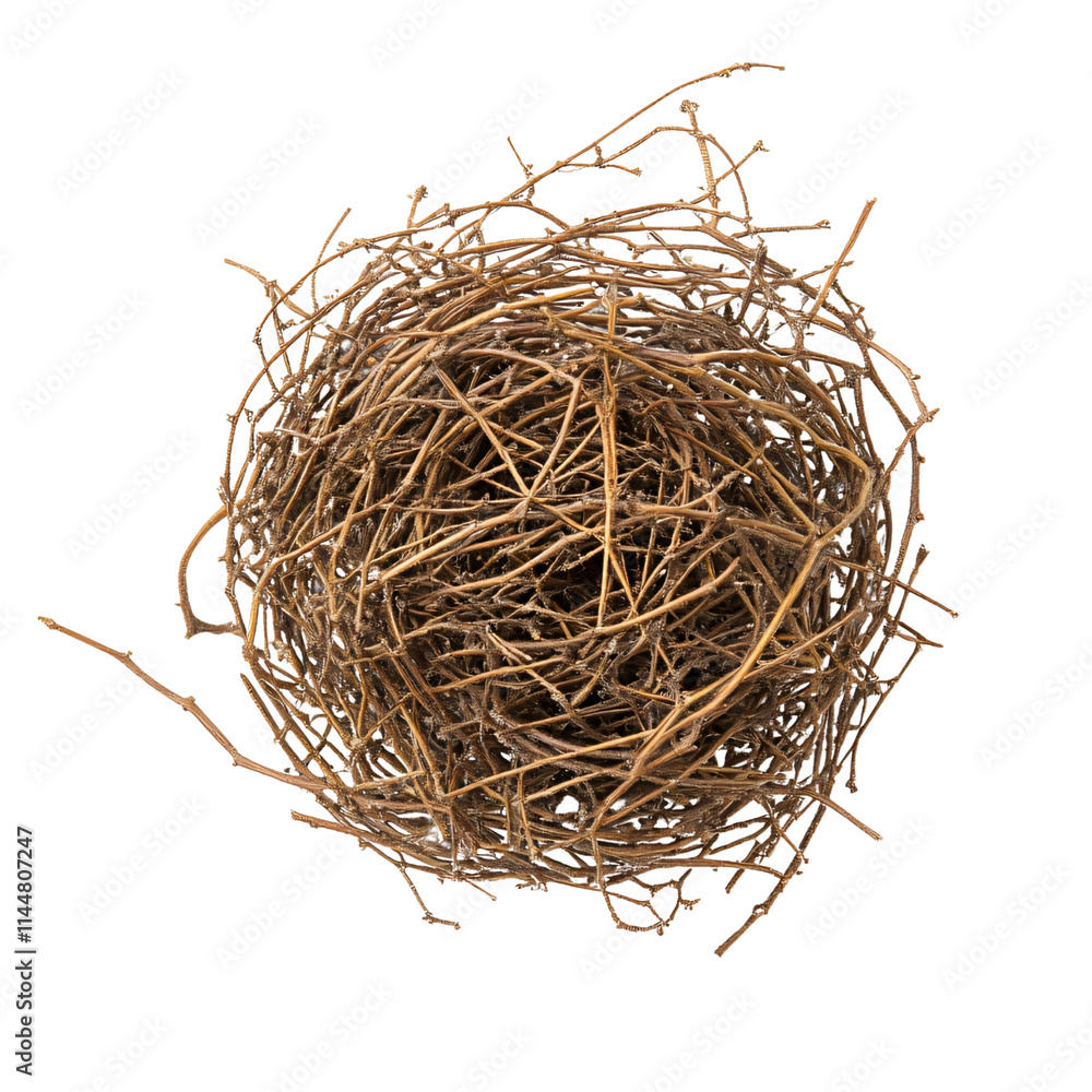 Dry tumbleweed bush twigs weed ball isolated on transparent background ...