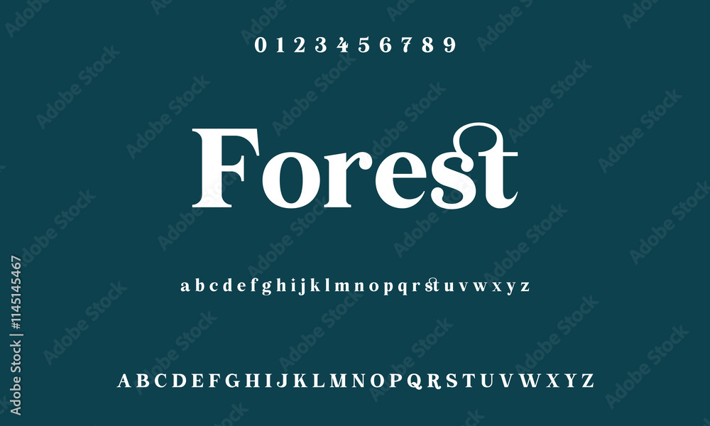 Classic serif font alphabet letters fancy gentle typographic design ...