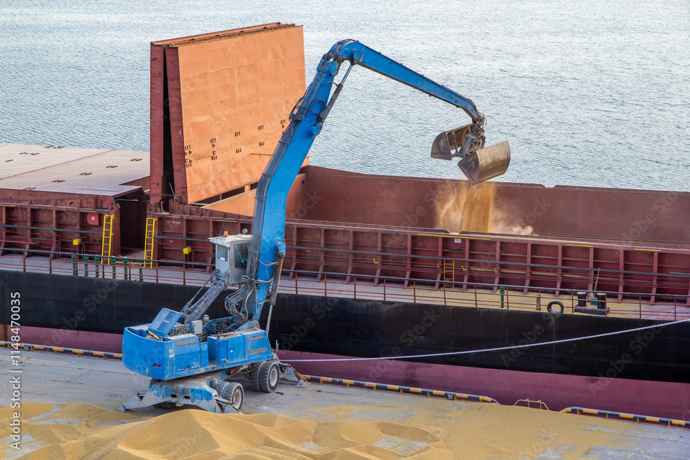 Unloading a dump truck with grain at the pier and reloading grain with ...