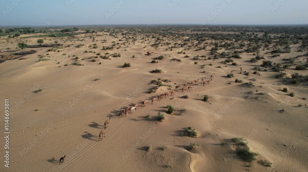 beautiful aerial photo of cholistan desert, Pakistan Stock Photo ...