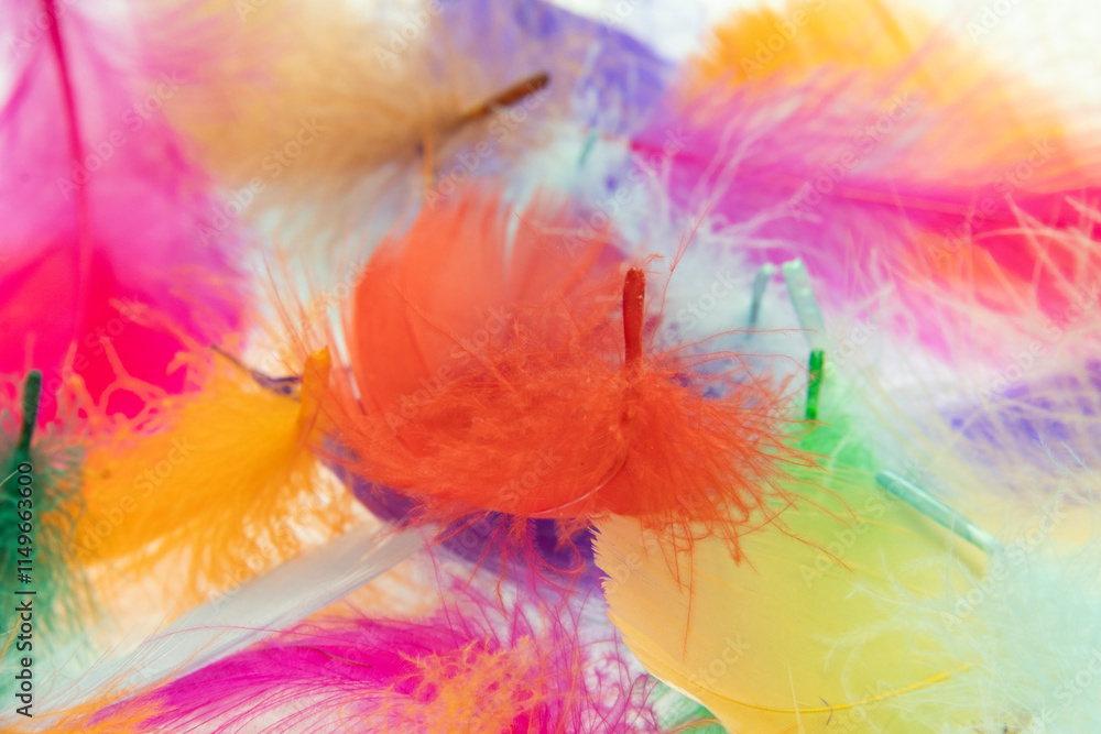 Many feathers, wings, angels, clothes, fashion, watercolor, painting ...