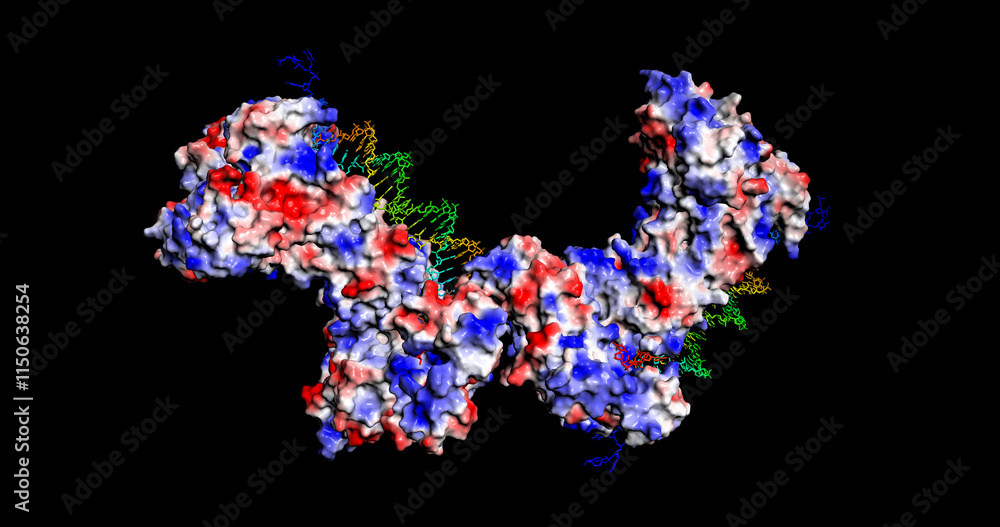 CRISPR-Cas-DNA-22 complex, genetic engineering molecule, 3D structure ...