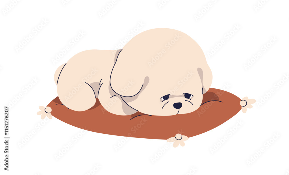 Sad Bichon Frise puppy lying on cushion. Cute fluffy canine animal ...